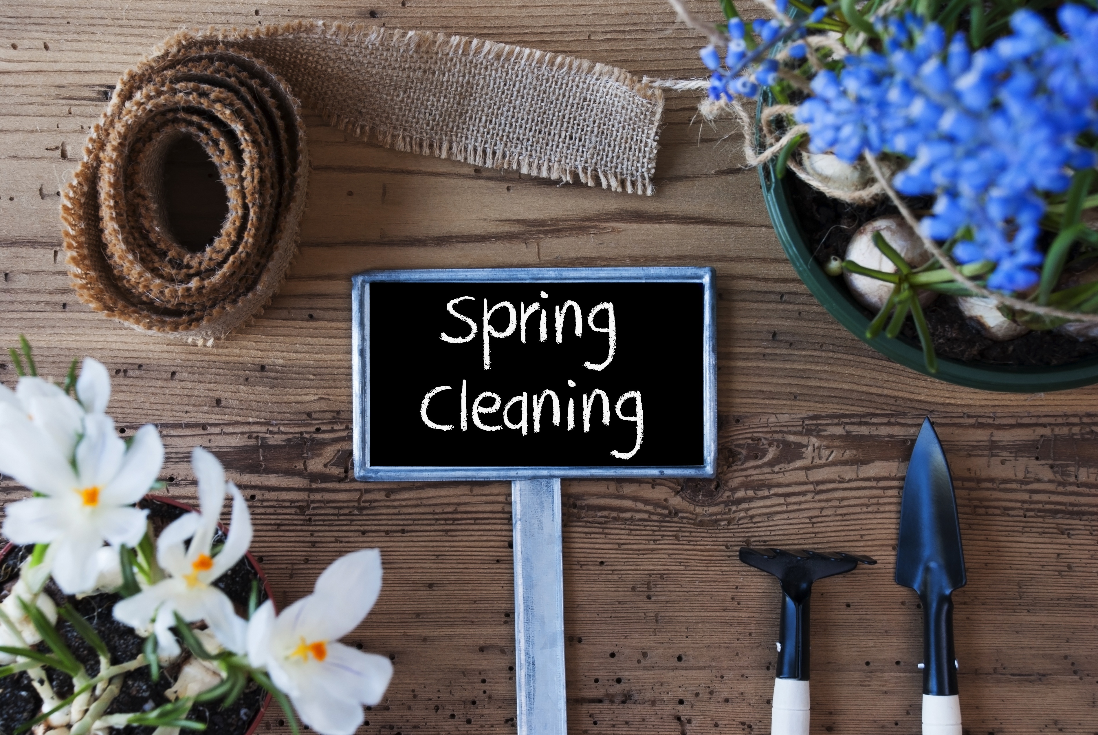 Time to Spring Clean Your Workplace Vocabulary